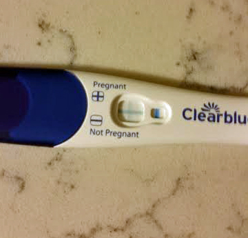 Long time no see… | The Meyer Manor